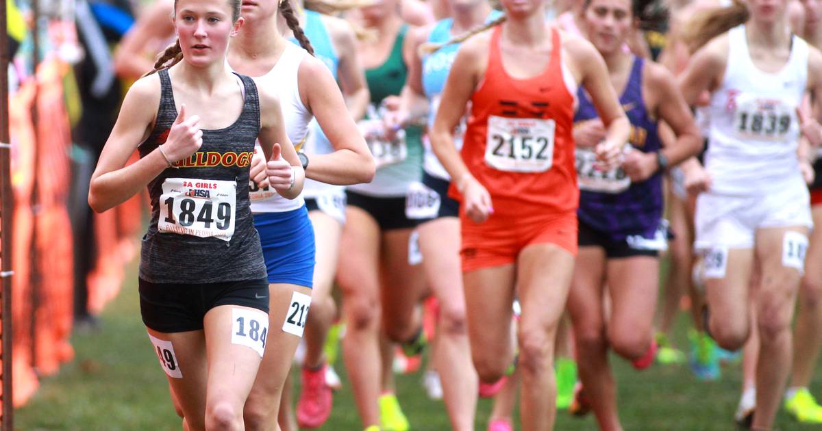 Photos: 2024 IHSA Class 3A Cross Country Championships – Shaw Local