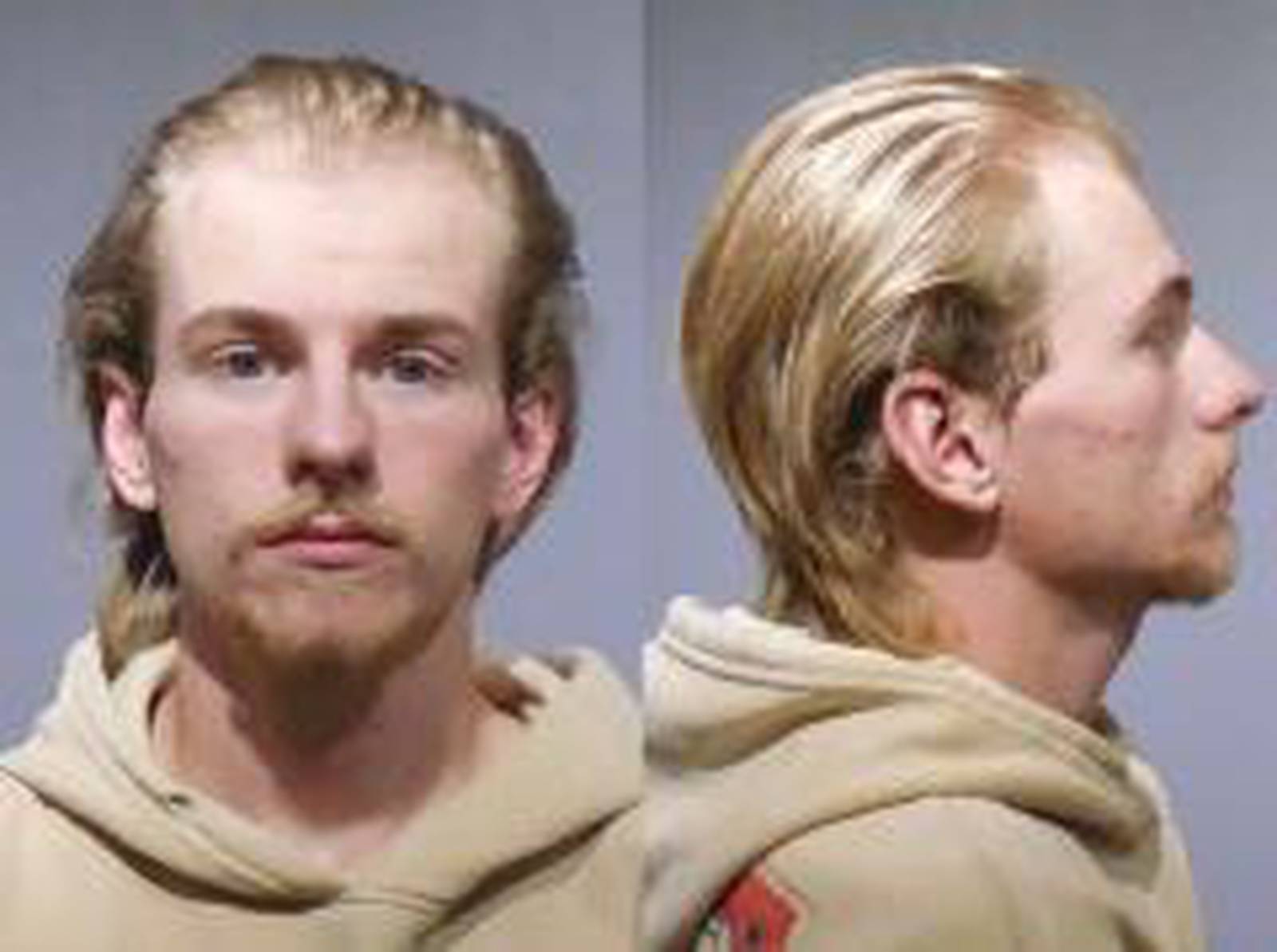 Plano man arrested on felony domestic battery charge – Shaw Local