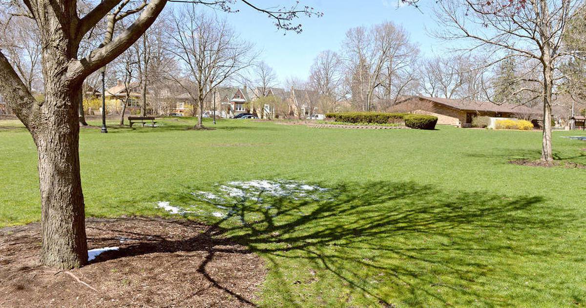 Berwyn Park District to hold community build for disc golf course ...