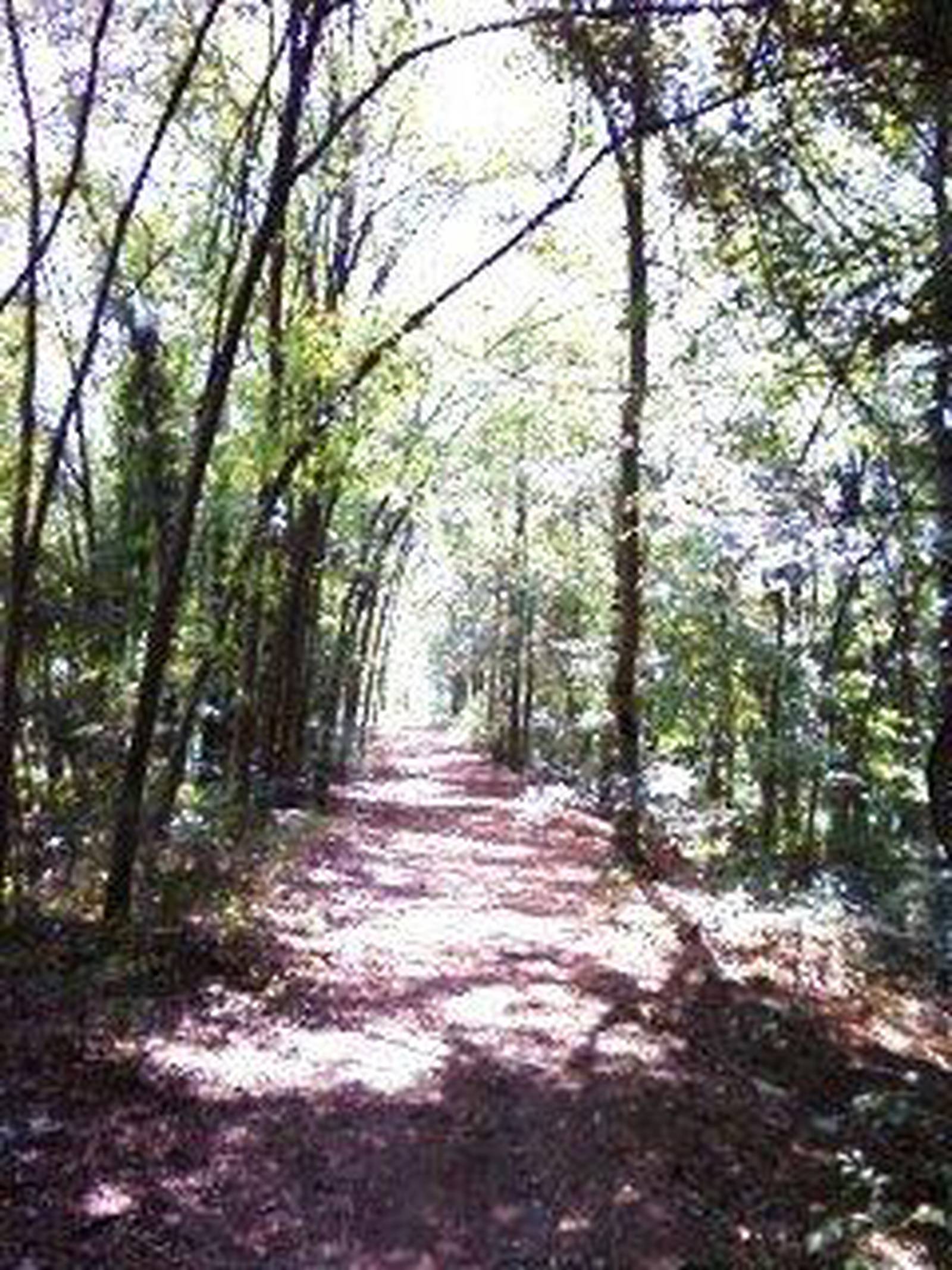 Midewin National Tallgrass Prairie offers safety tips for this hunting ...