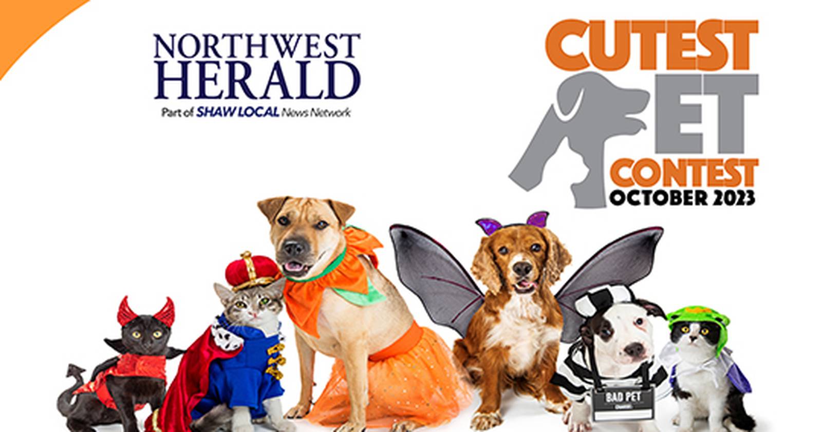 Vote in the October 2023 McHenry County’s Cutest Pet Contest today ...