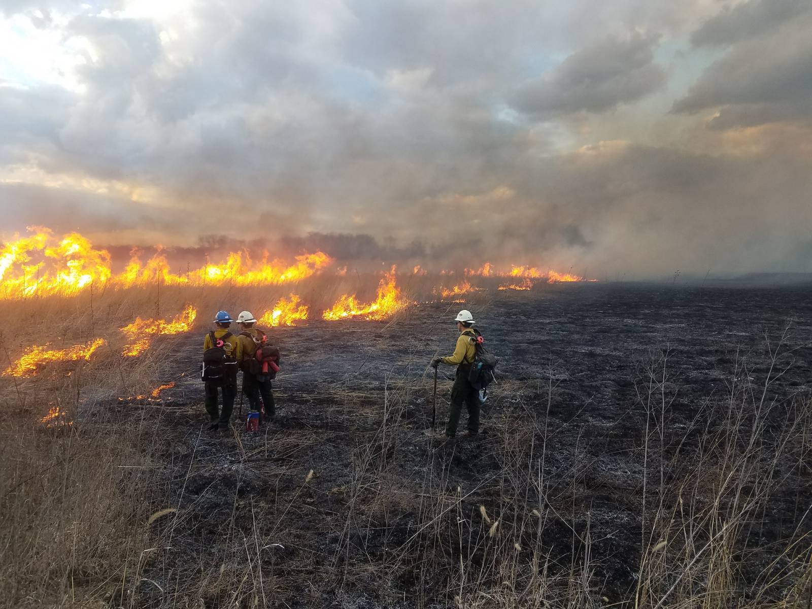 Midewin National Tallgrass Prairie to undergo prescribed burns this ...