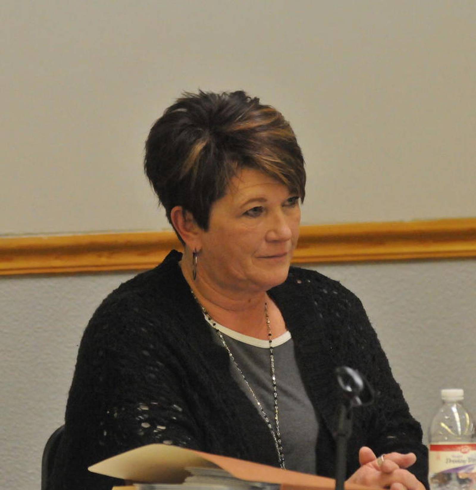 Marseilles mayoral candidate Michelle Klock – Shaw Local