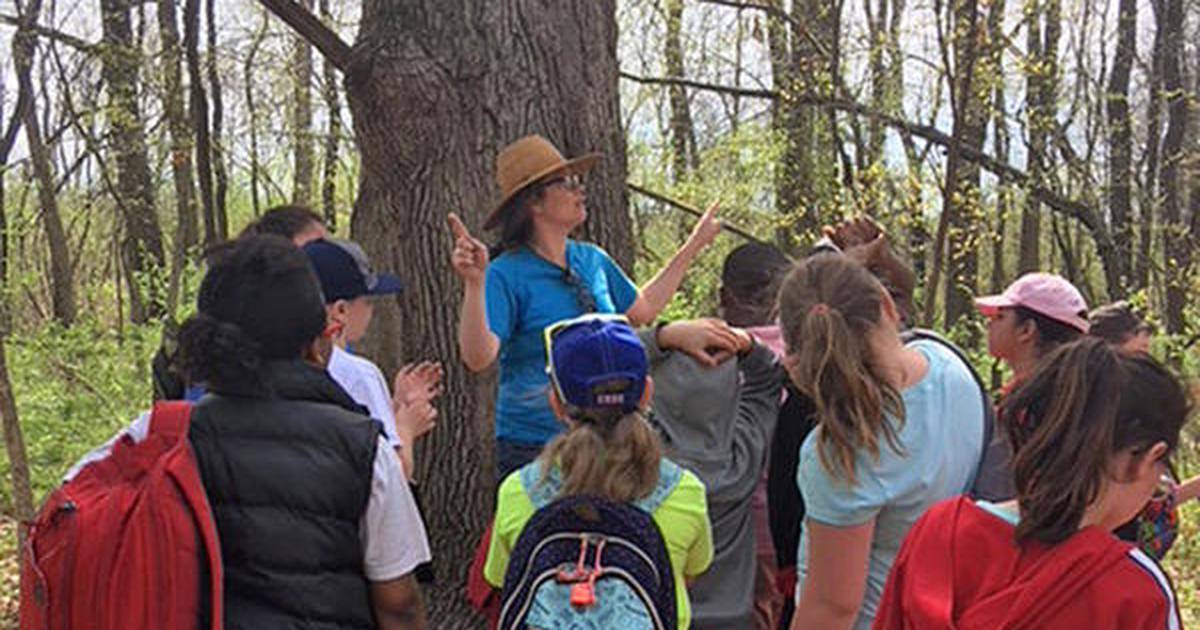 Kendall County fall nature programs for kids begin in August – Shaw Local