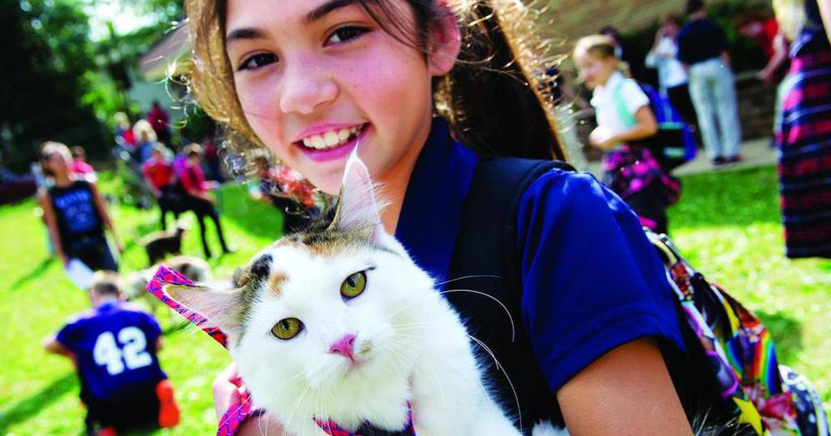 OSF in Ottawa, Streator to host blessing of pets – Shaw Local