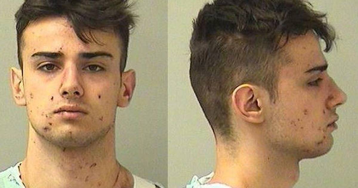 Peruzza sentenced to 8 years in Geneva DUI death – Shaw Local