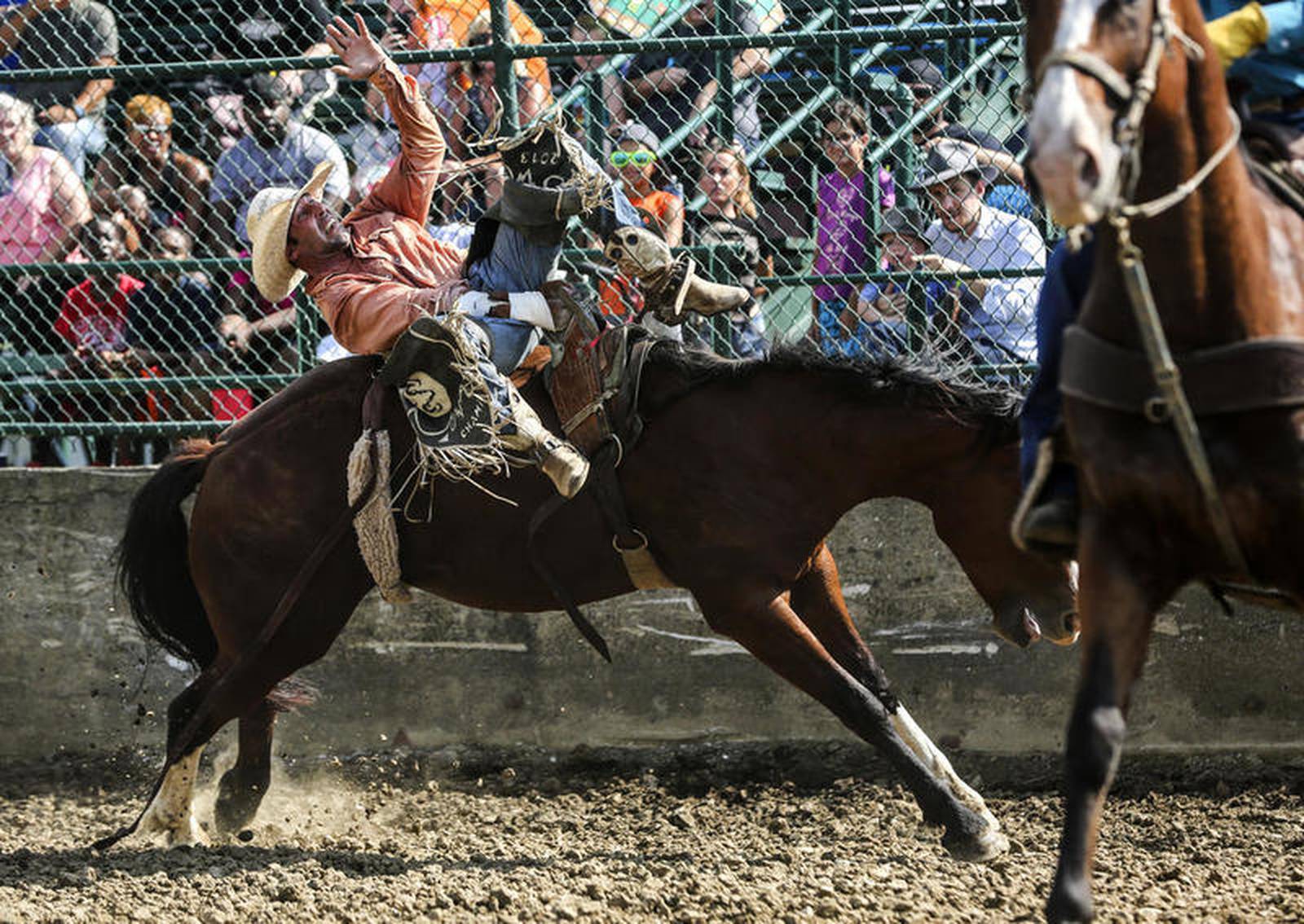 Will County Fair opens Wednesday in Peotone – Shaw Local