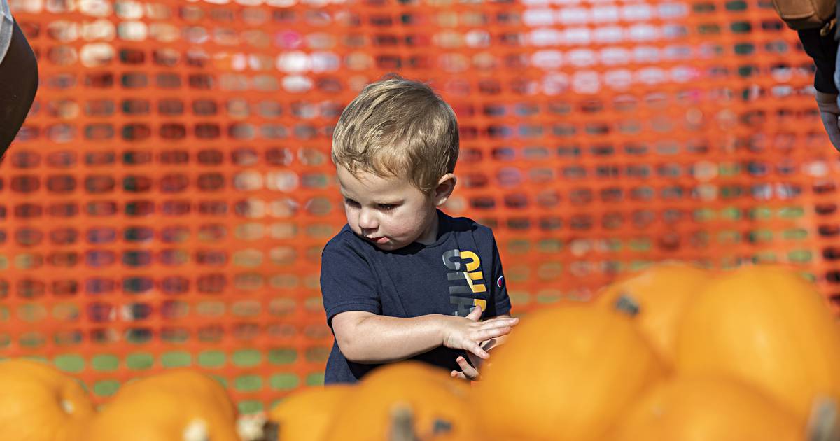 The Local Scene: Halloween happenings, ‘Radium Girls’ on tap for ...