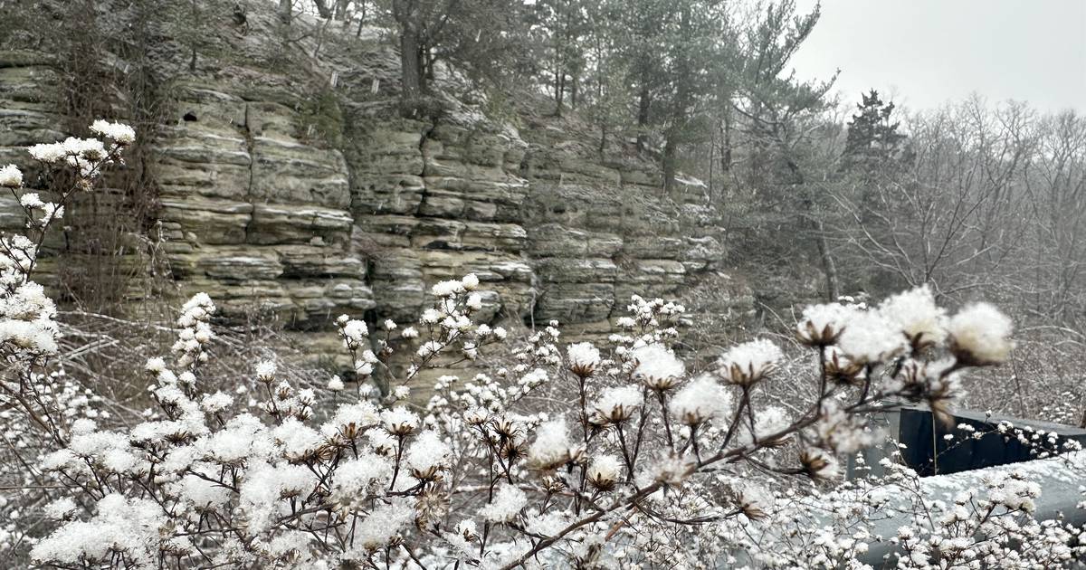 Photos: A glimpse of winter in the Illinois Valley – Shaw Local