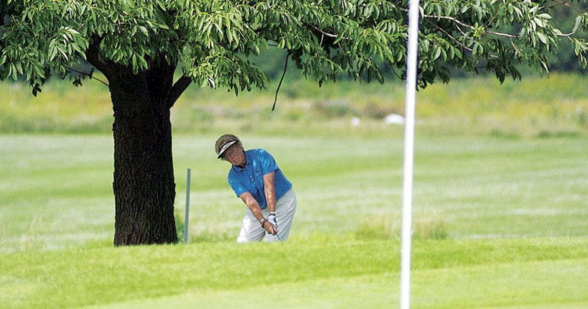 Column: Veteran golfer hungry for more – Shaw Local