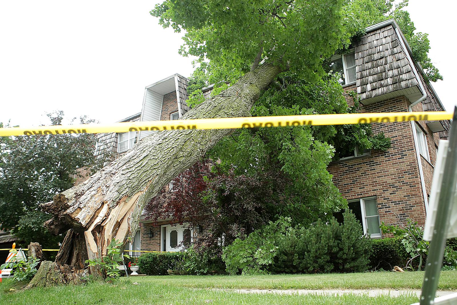 DeKalb-owned tree falls on apartment building – Shaw Local