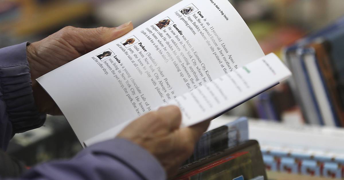 Princeton bookstore to host soft opening – Shaw Local