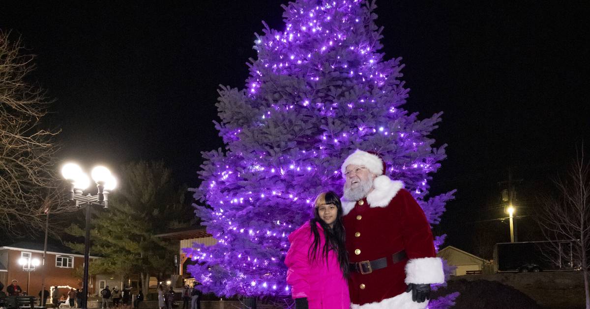 Photos: Spring Valley lights up the night with parade, new tree – Shaw ...