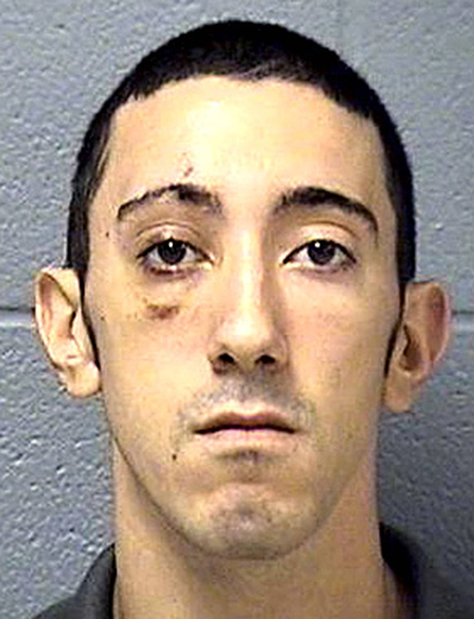 New Lenox man gets 8 years in prison for 2012 fatal crash – Shaw Local