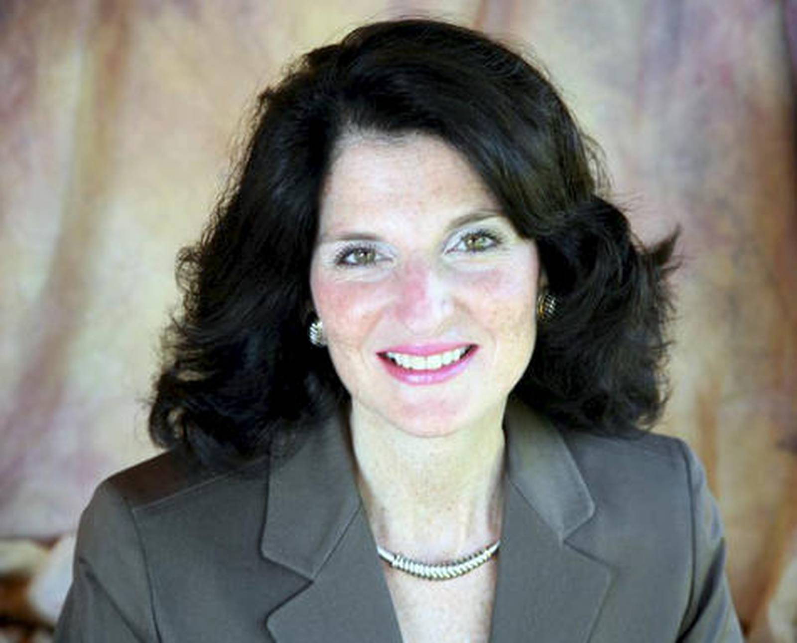 Get To Know Karen Darch, Barrington Village President – Shaw Local