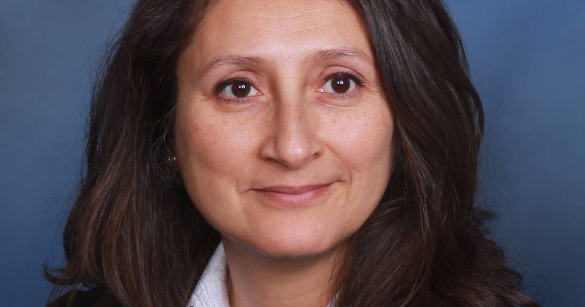 Kane County Democrat announces run for circuit judge – Shaw Local