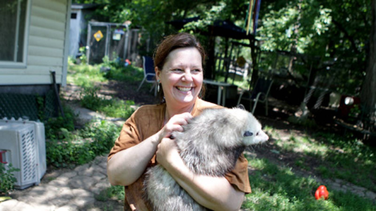 Which animals can you keep in Kane County? – Shaw Local