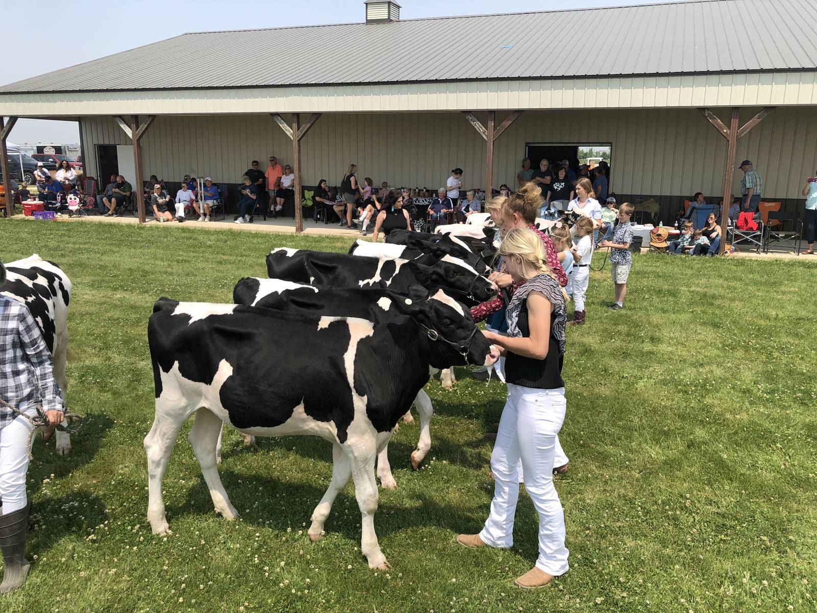 Milk Days wraps up with Dairy Show, some events rescheduled due to rain ...
