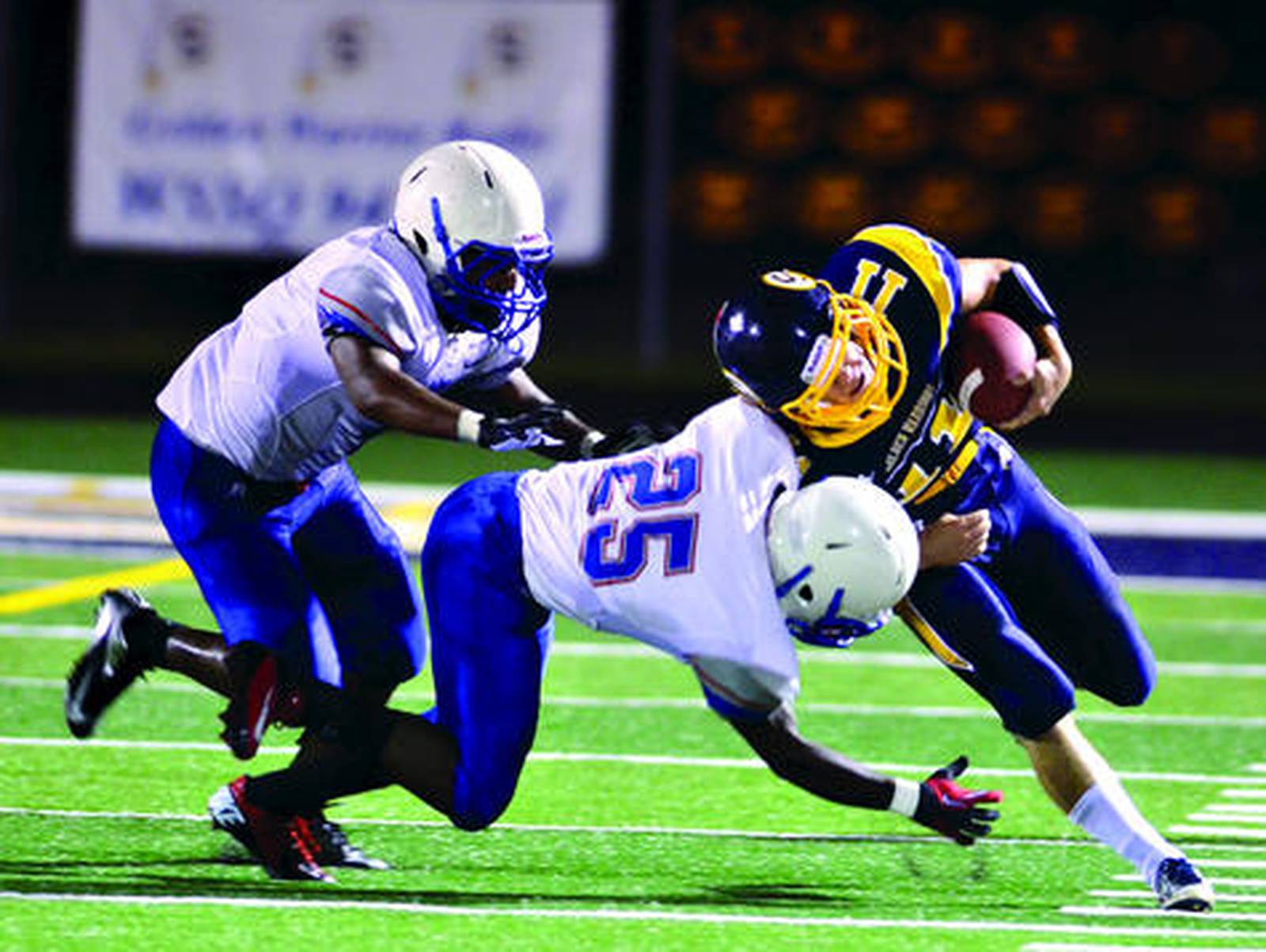 Sterling steadily salts away win over Curie in turf debut – Shaw Local