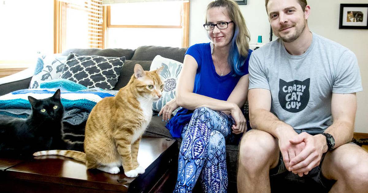 Cary resident's videos make YouTube stars of pets Cole and Marmalade ...