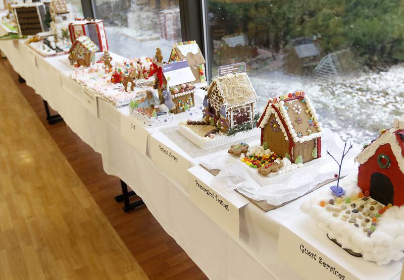 Photos: Gingerbread houses at Northwestern Medicine McHenry Hospital ...