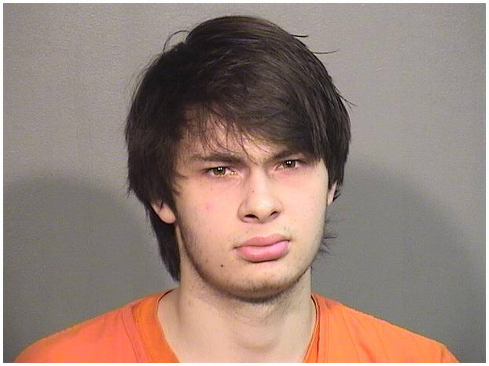 McHenry man accused of armed robbery at 17 denied pretrial release ...