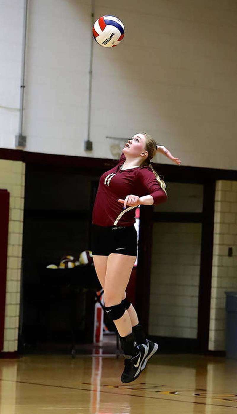 Girls volleyball: A capsule look at some area girls volleyball teams ...