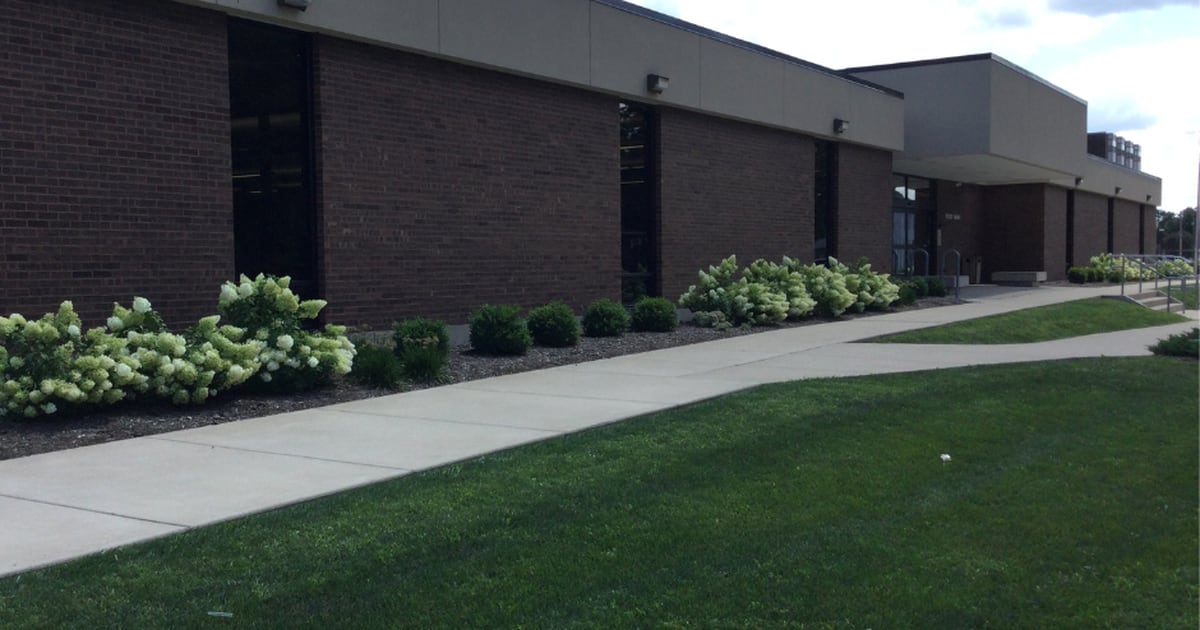 Celebrate National Library Week at Reddick library in Ottawa – Shaw Local