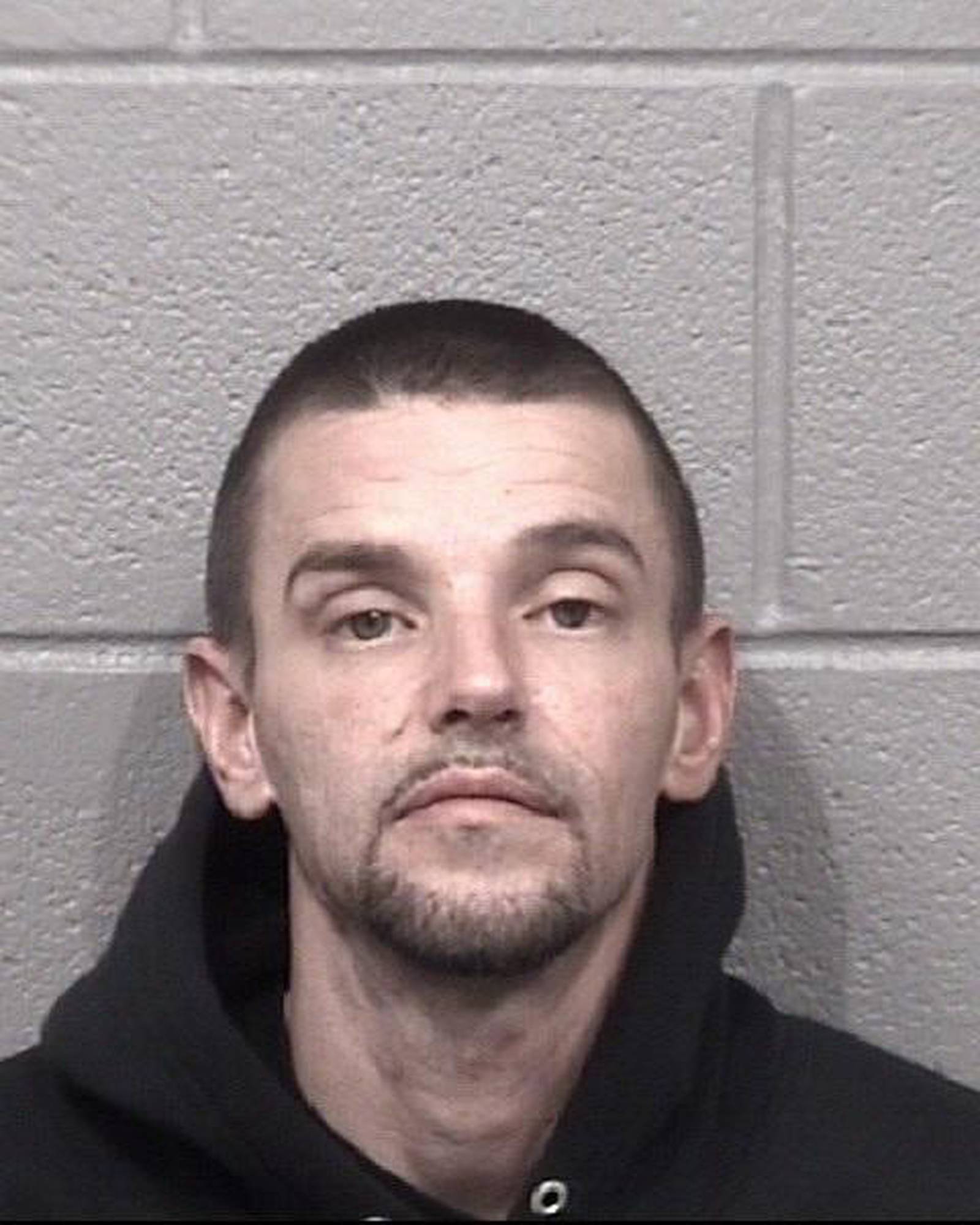 Genoa cops nab man suspected of stealing change from vehicles – Shaw Local