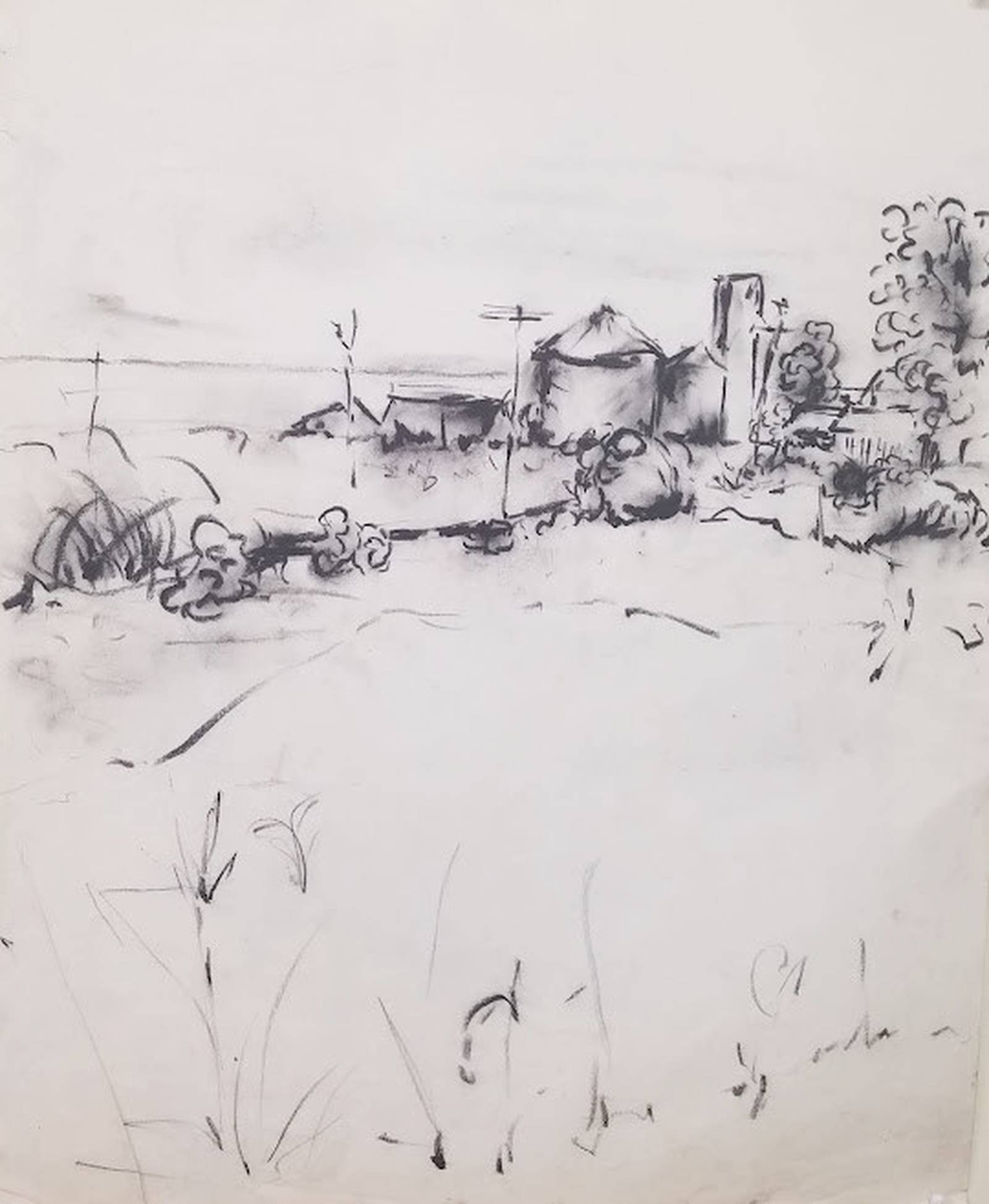 DAWC opens ‘Chris Perkovich: The First 70 Years’ – Shaw Local