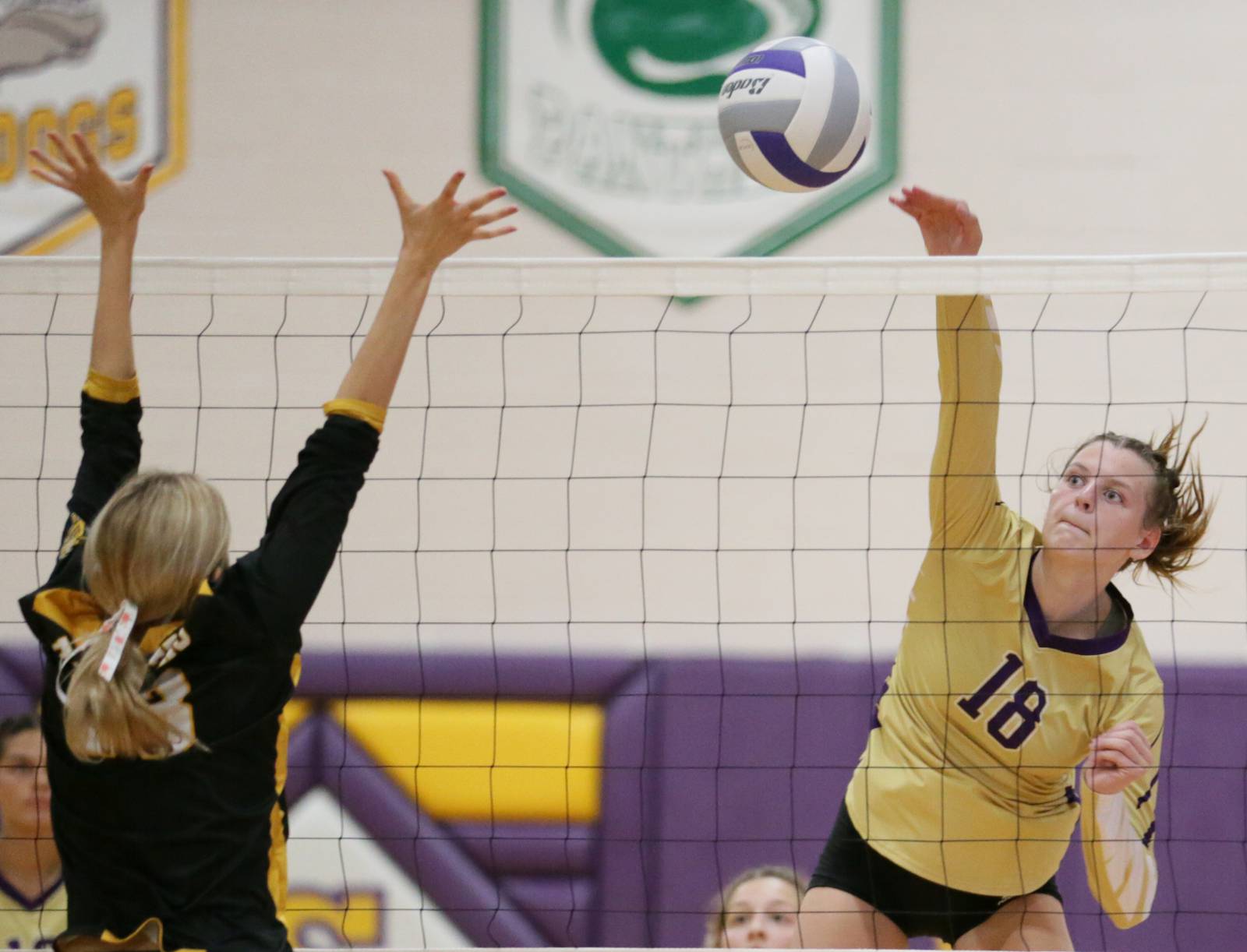 Girls volleyball: Paige Sexton ‘on fire,’ with 18 kills, powers Serena ...