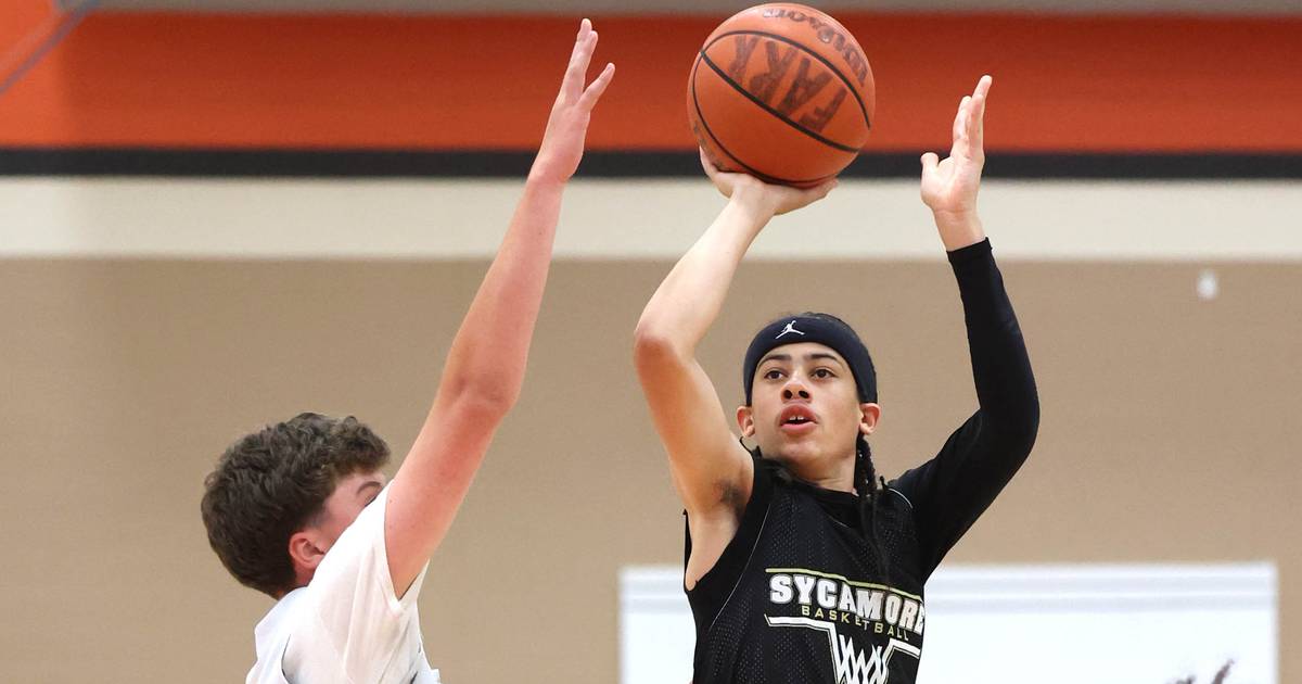 Boys basketball: Unique Shaw among pair of transfers for Sycamore ...