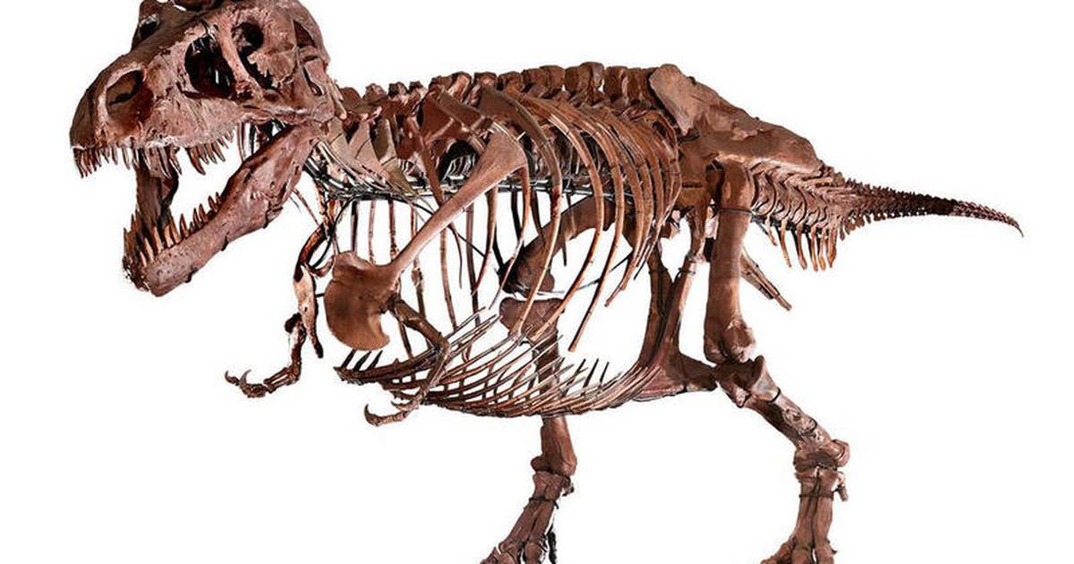 DAY TRIP: The rex is history – Shaw Local