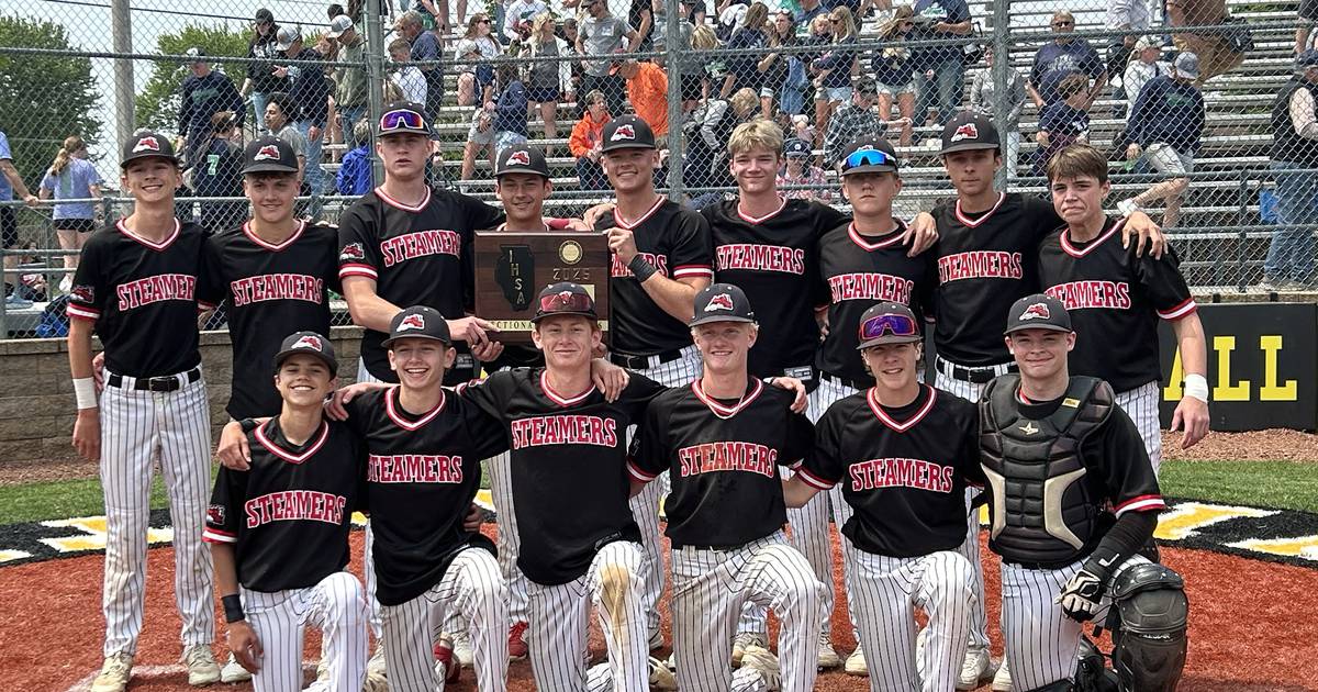 Fulton baseball wins first sectional title since 2015 – Shaw Local