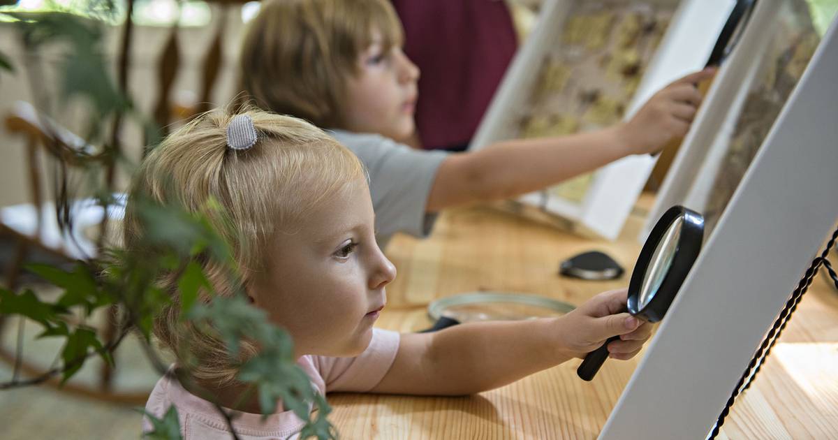 Photos: Gettin' buggy with it – Shaw Local