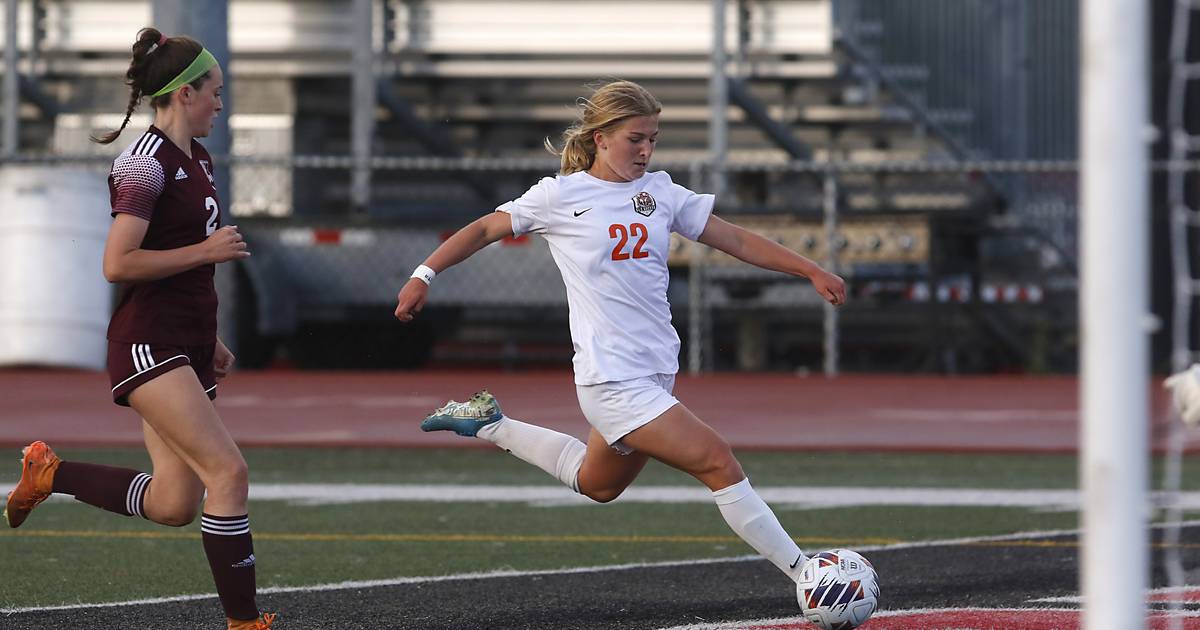 Girls soccer: McHenry County-area players, coaches earn 2024 IHSSCA ...