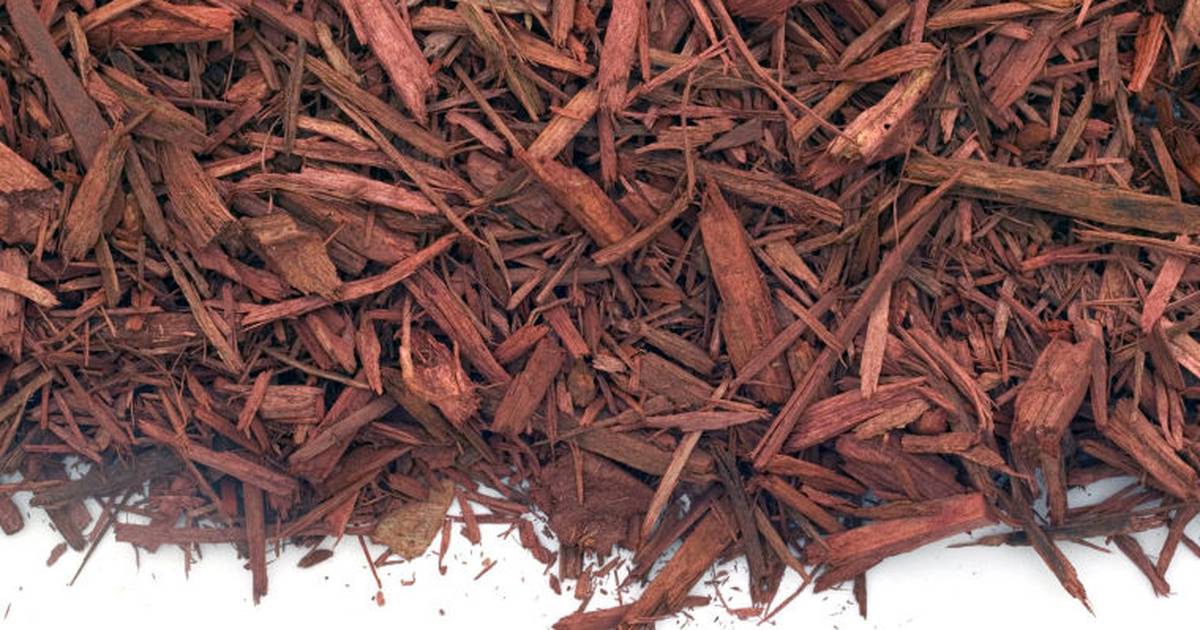 Forest Preserve District of Kane County offering free wood chips – Shaw ...