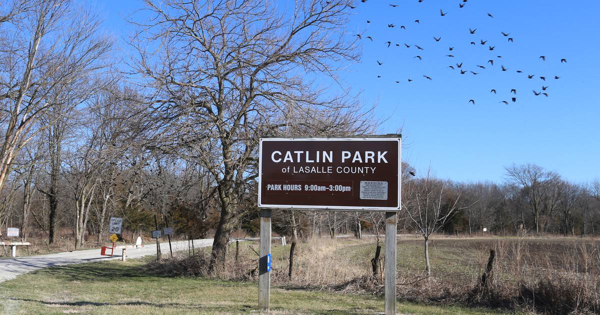 Catlin Park gets revised deer hunting schedule – Shaw Local