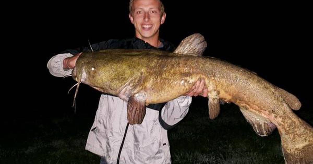 19-year-old Cary man catches 40-pound catfish in Fox River – Shaw Local