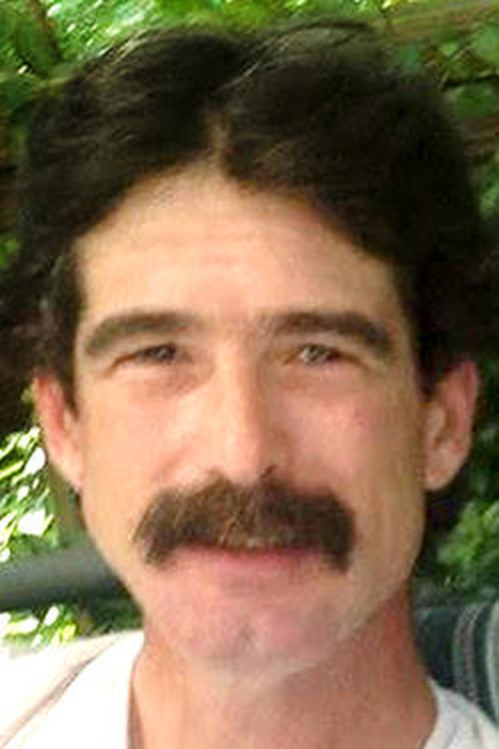 Harry Picco Jr. – Shaw Local