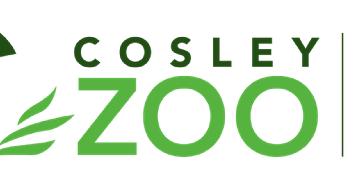 Cosley Foundation names 2024 Michael T. Williams Scholarship recipients ...