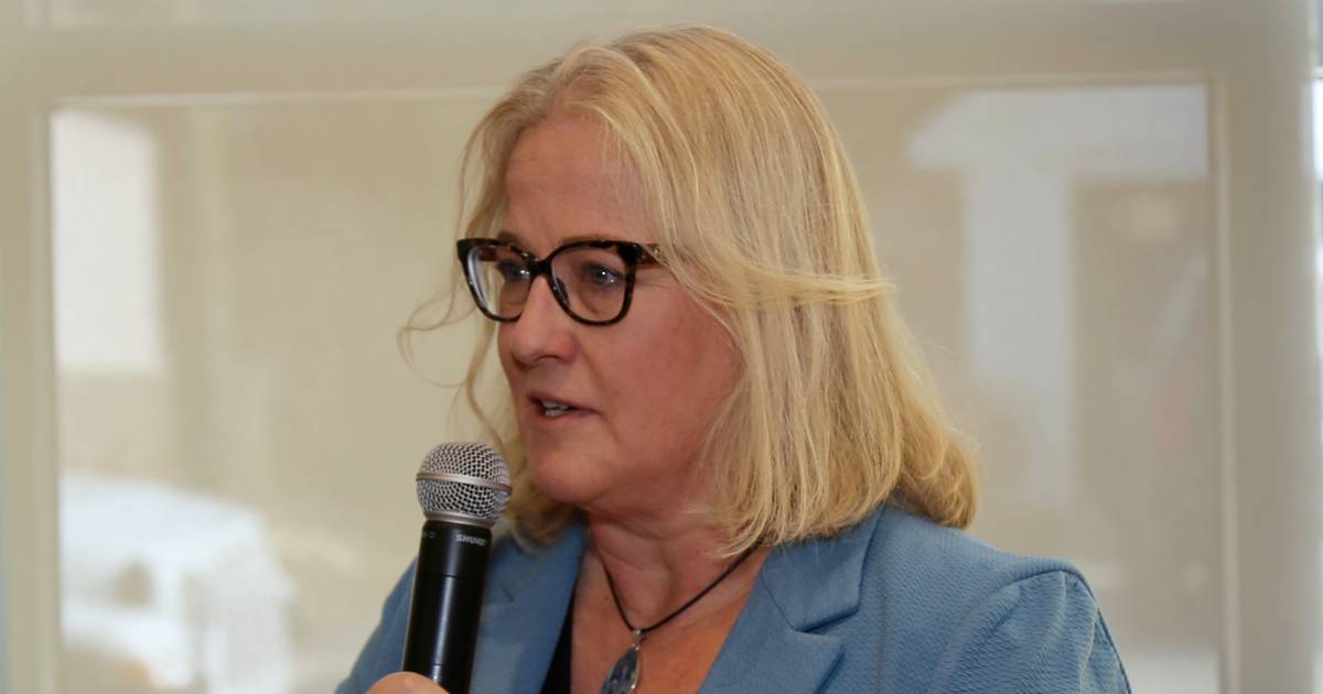 Geneva Alderperson Amy Mayer presents platform for re-election – Shaw Local