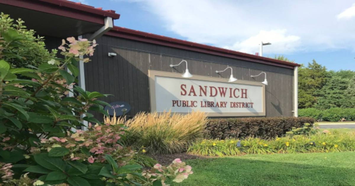 Concert at Sandwich Public Library to support Diaper Closet – Shaw Local