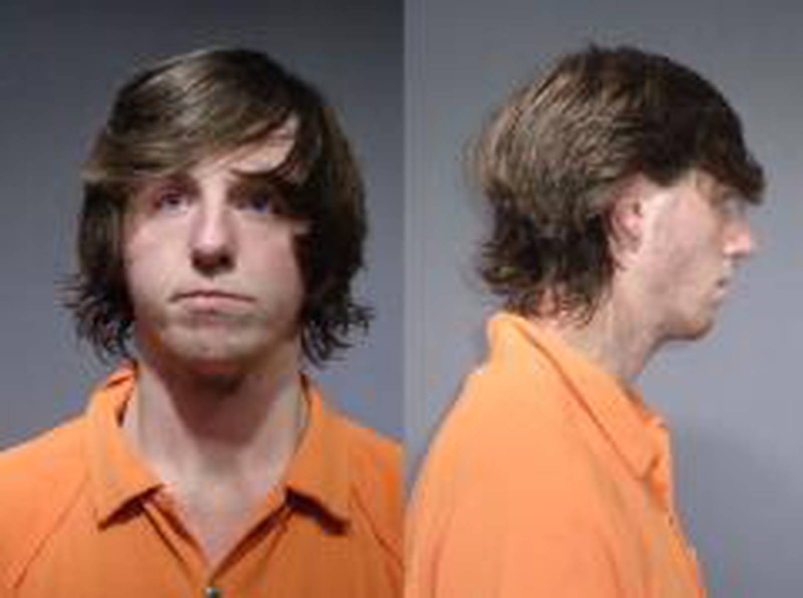 Kendall County judge sentences Elgin man to seven-year jail term for ...