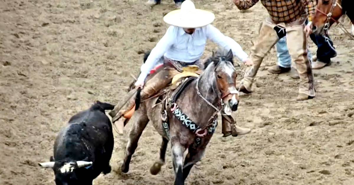 Northern Illinois counties struggle to regulate Mexican-style rodeos ...
