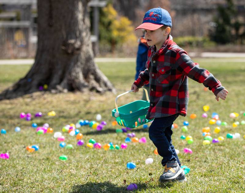 Photos: Cantigny Egg Hunt in Wheaton – Shaw Local