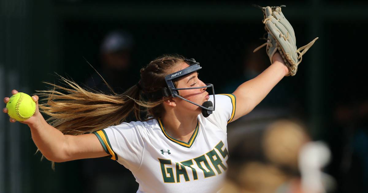 High school softball: 20 area players named to Illinois Coaches ...