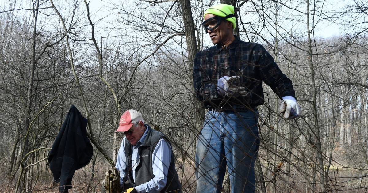 Give back to nature at a Will County forest preserve volunteer morning ...