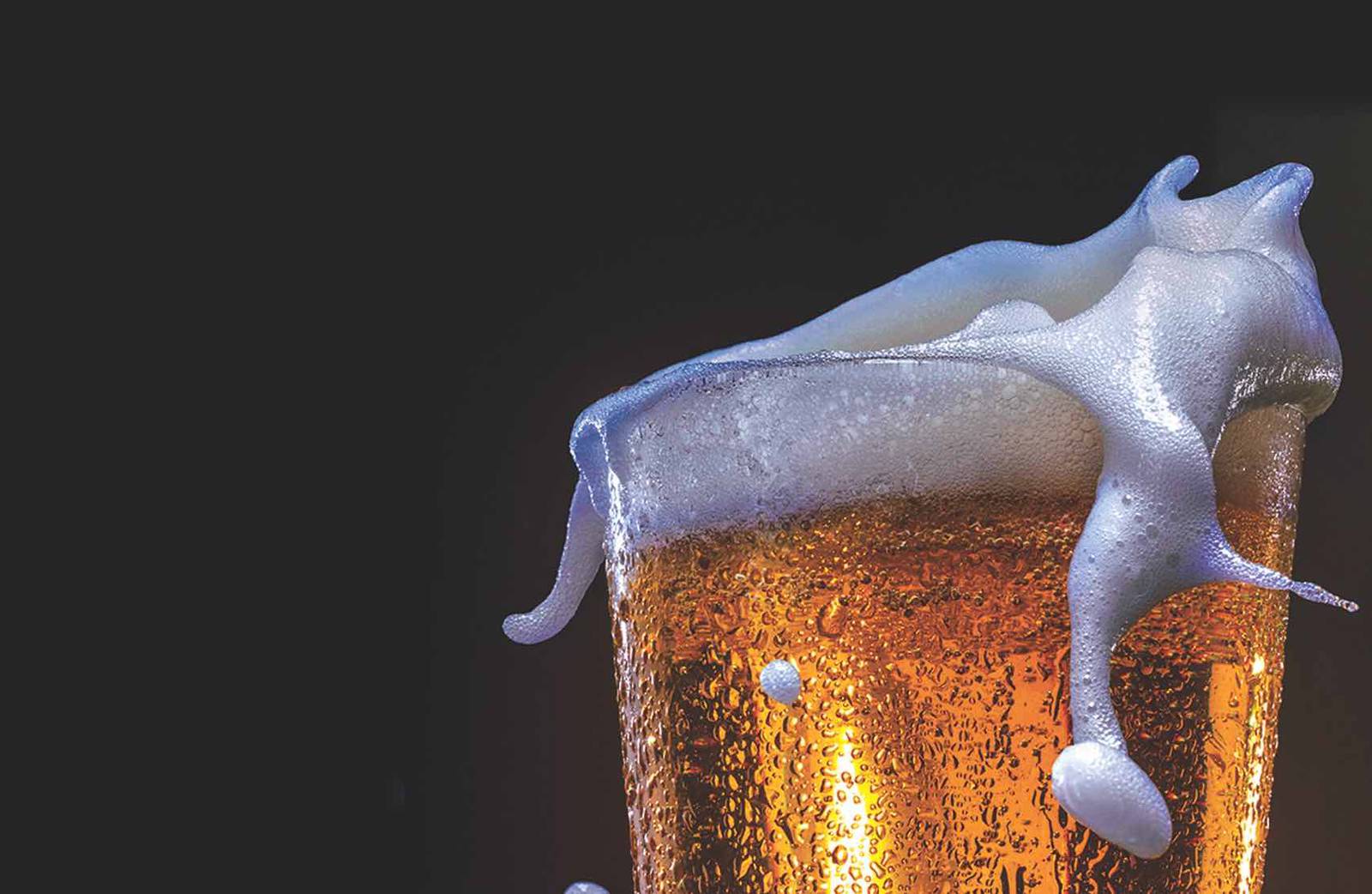 Readers’ Choice Winner: The top 6 best microbreweries in Kane County ...