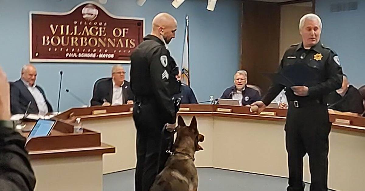 New Bourbonnais police officer is a Knight – Shaw Local